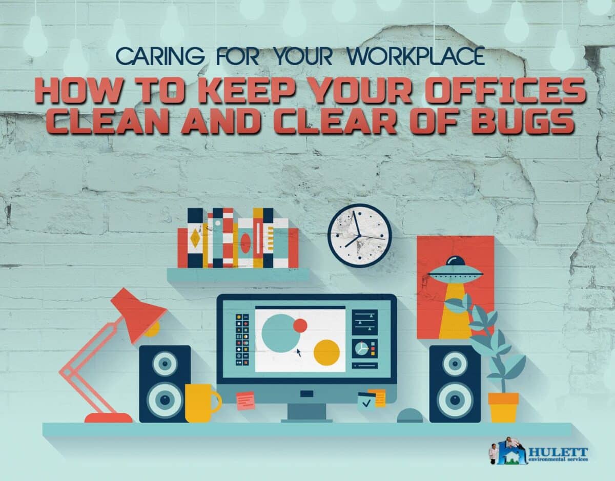 Caring For Your Workplace: How to Keep Your Offices Clear of Bugs ...