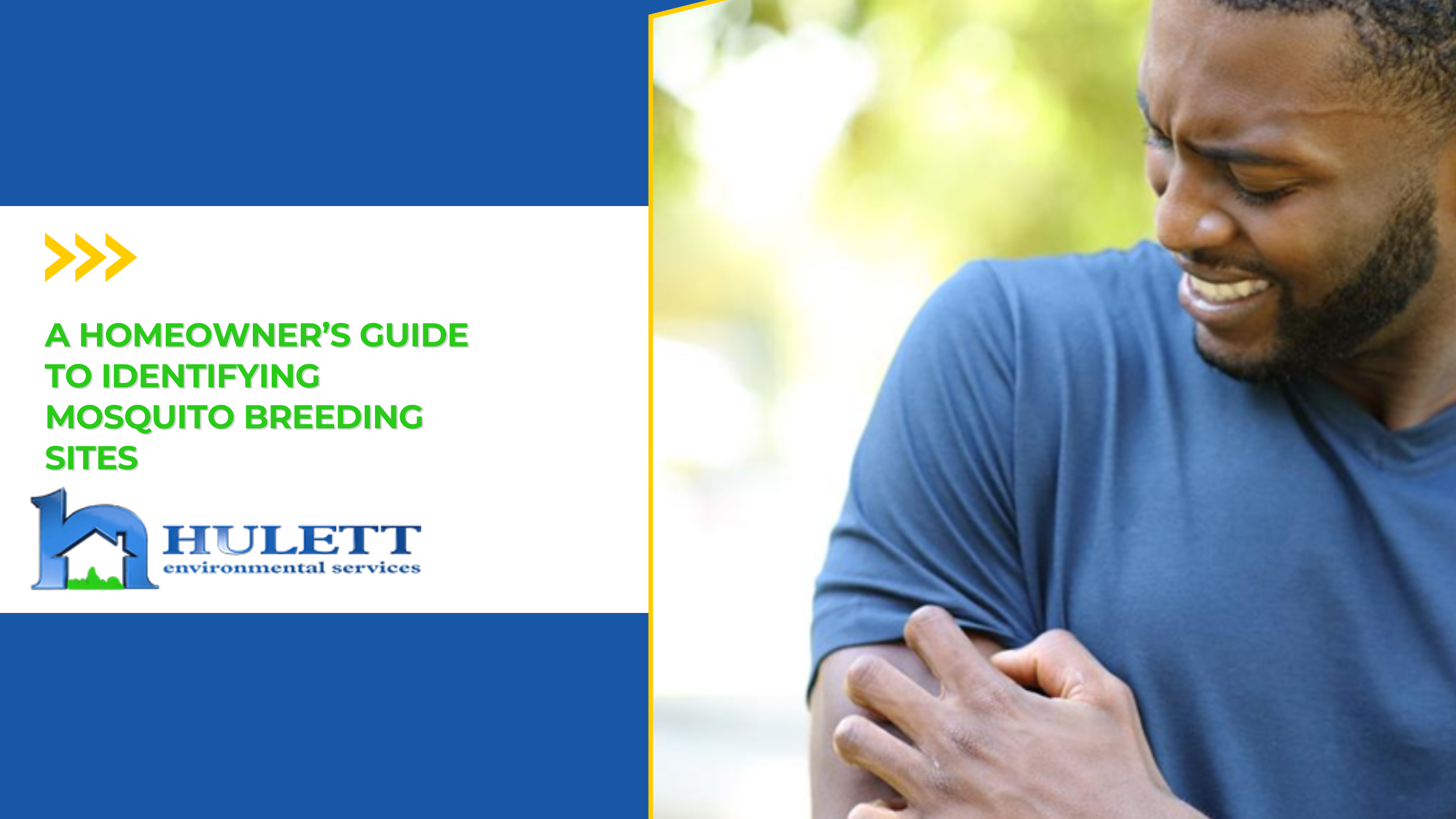 A Homeowner’s Guide to Identifying Mosquito Breeding Sites | Hulett ...